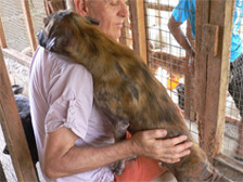 | Mayari Animal Rescue