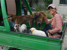 | Mayari Animal Rescue